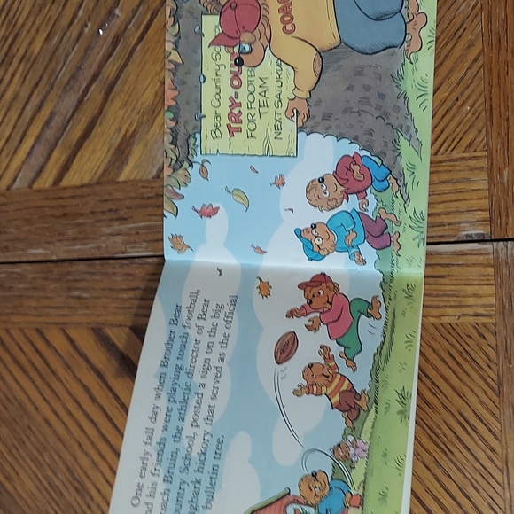 random house | Other | Vintage Bundle Of The Berenstain Bears ...